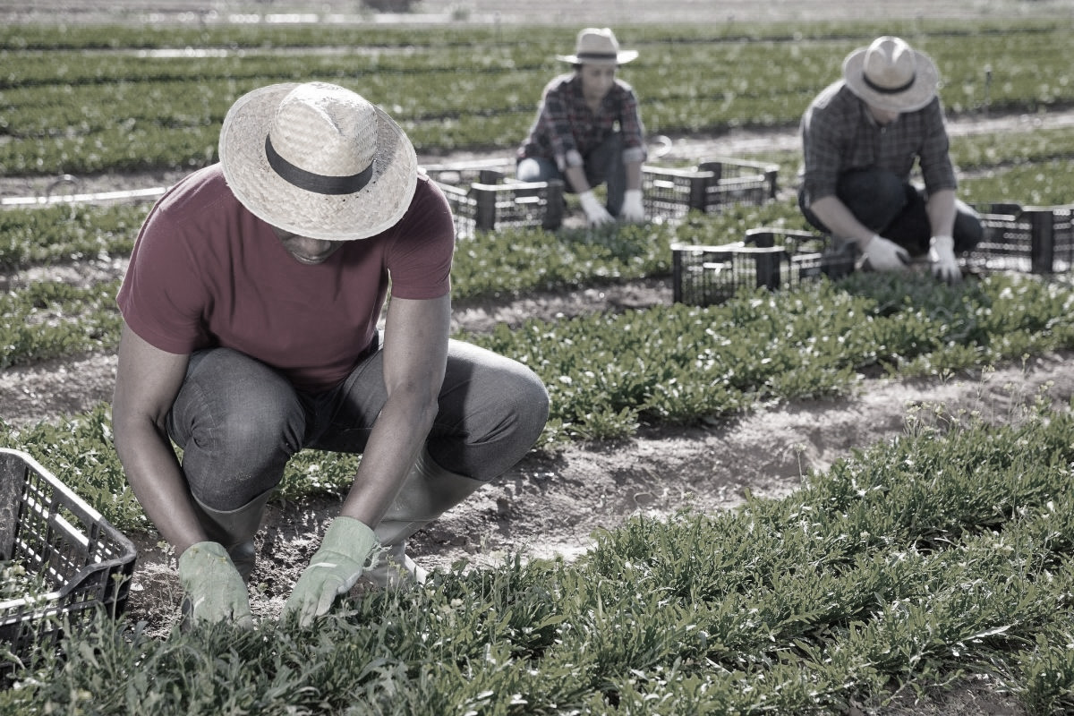 Thirteen Things California Employers Need To Know About The New Cal ...