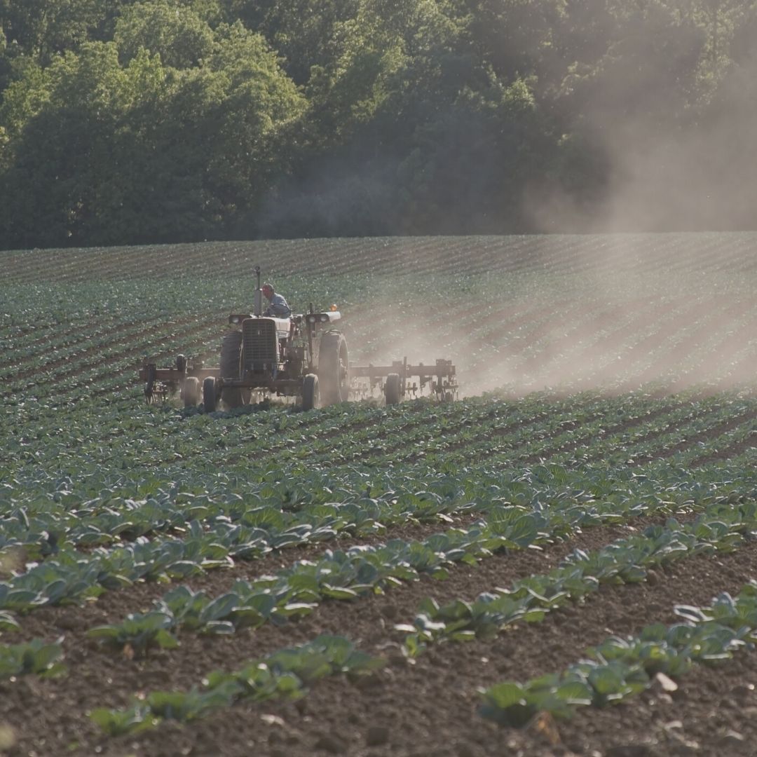 Five Facts About the Ag Labor Shortage - UnitedAg