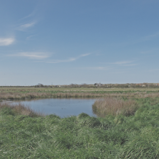 USDA Expands Partnerships for Conservation Through Its Conservation ...