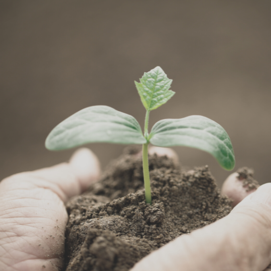 First round of Partnerships for Climate-Smart Commodities projects ...